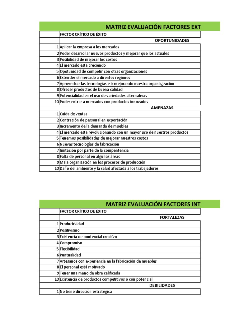 Estructura Matriz Evaluación Factores Internos y Externos | PDF | Business | Mercado (economía)
