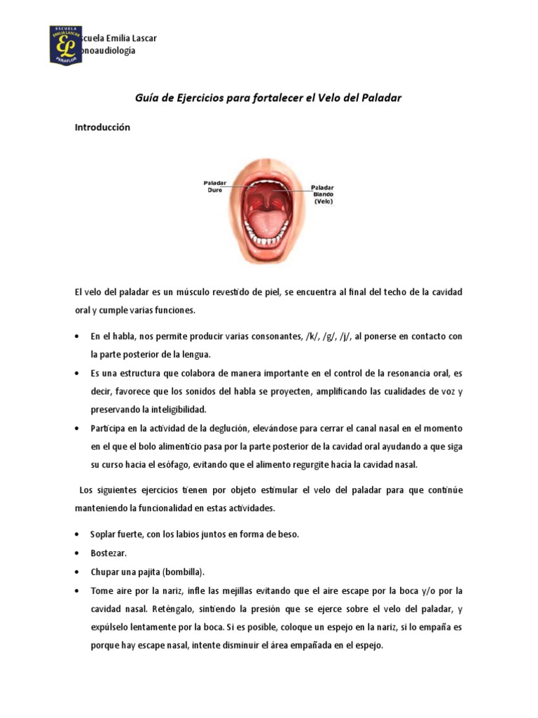 Guía de Ejercicios para fortalecer el Velo del Paladar | PDF | Boca ...