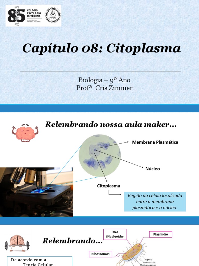 Estrutura e Funções do Citoplasma | PDF | Ciências e Matemática