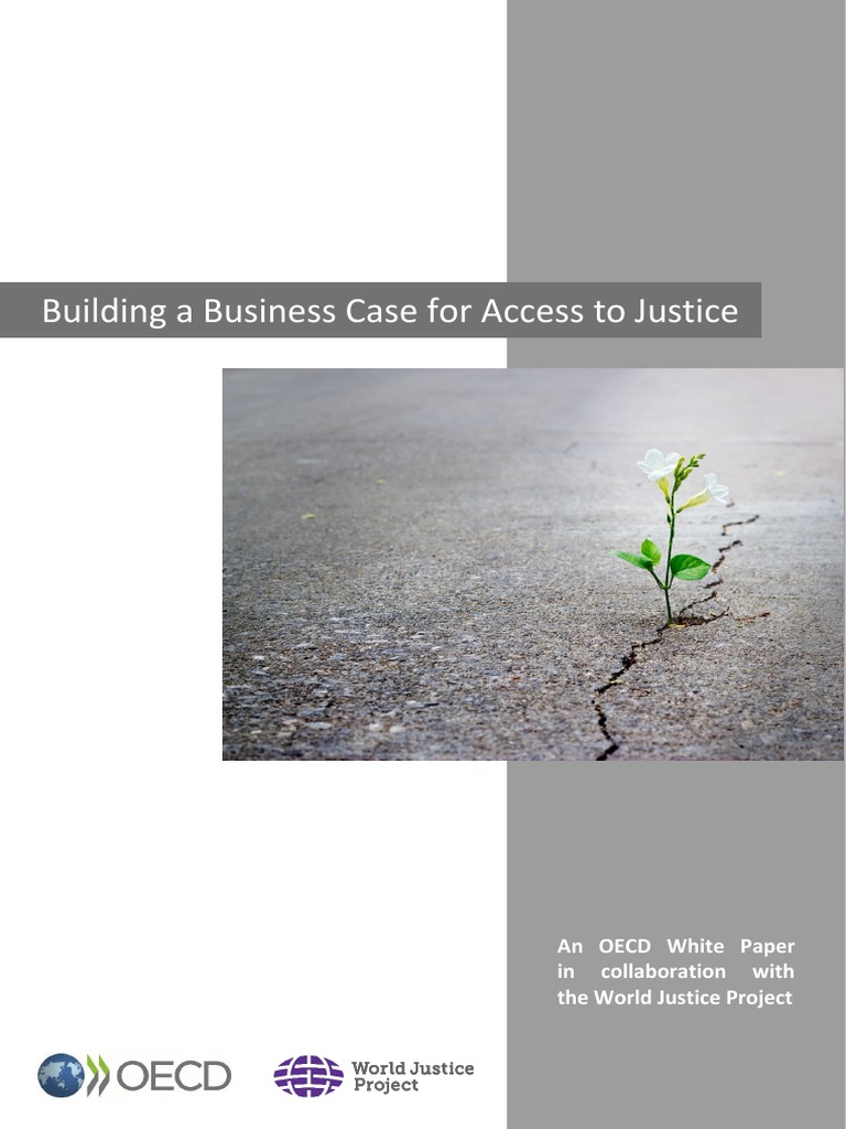 Building A Business Case For Access To Justice | Download Free PDF ...