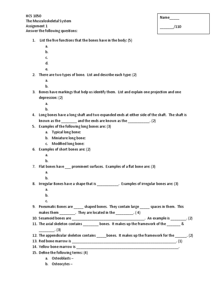 Musculoskeletal System Assignment Guide | PDF