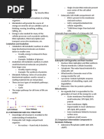 Class 9 Case Study Questions | PDF | Tissue (Biology) | Epithelium