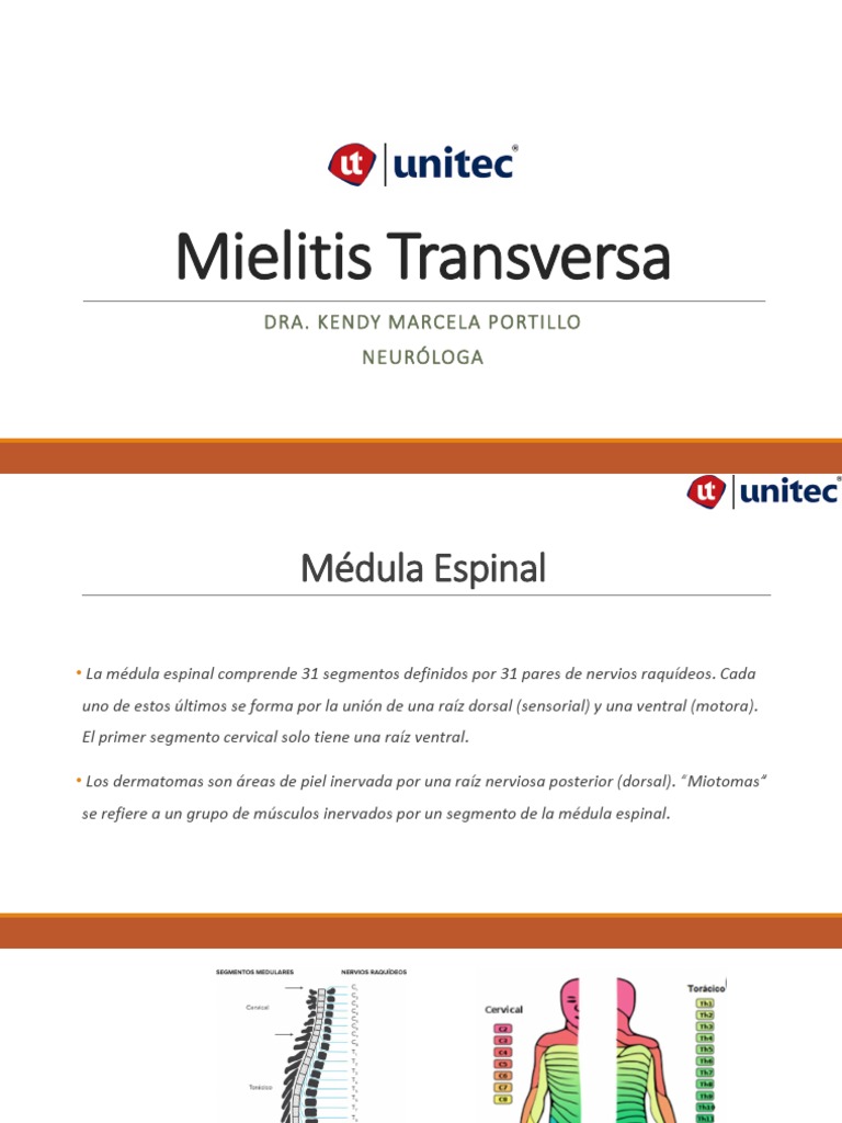 Mielitis Transversa | PDF