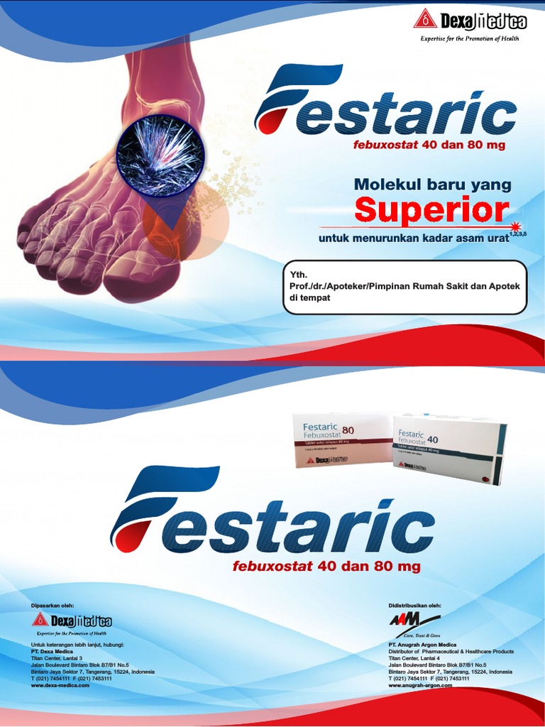 DEXA Festaric Rev 7 | PDF