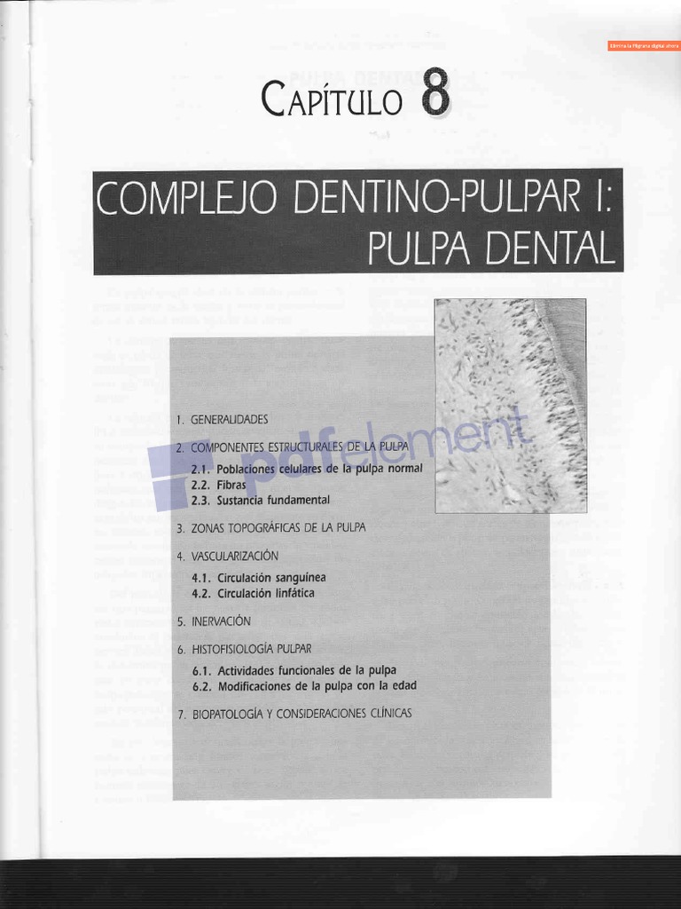 Complejo Dentino-Pulpar - Histologia Bucodental | PDF | Anatomia animal ...