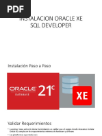 Instalación de Oracle SQL Developer | PDF | Crecimiento personal y profesional | Tecnología