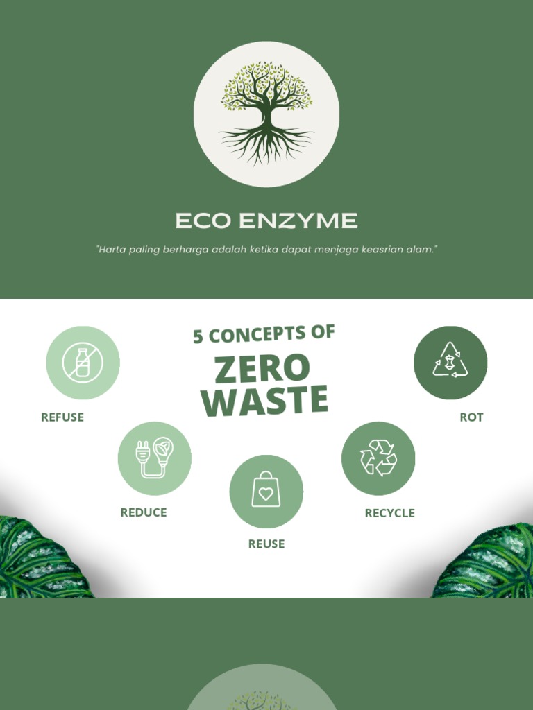 Project Eco-Enzyme | PDF