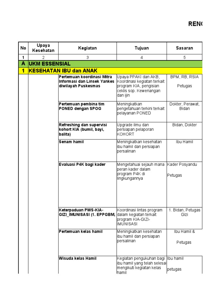 RPK Perprogram | PDF | Kesehatan Holistik