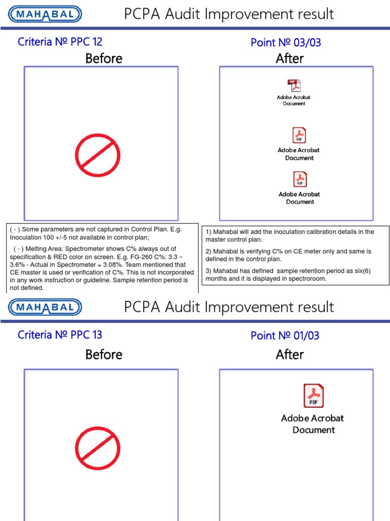 PCPA Audit Improvement Summary | PDF