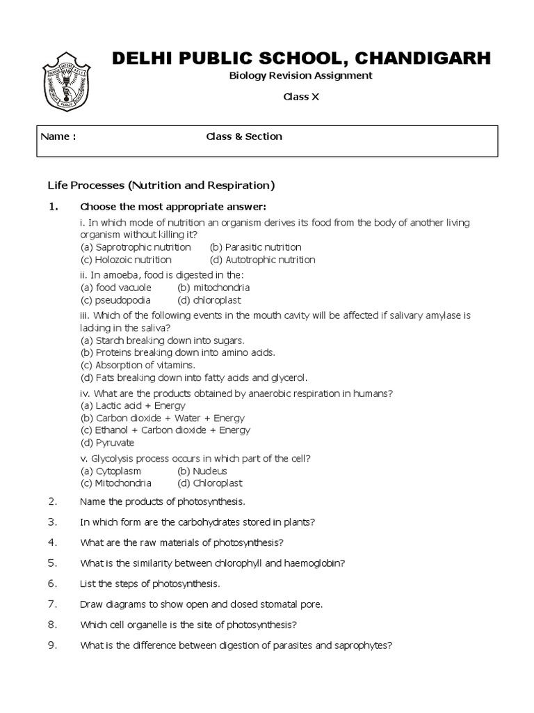 Science Revision Sheets | PDF