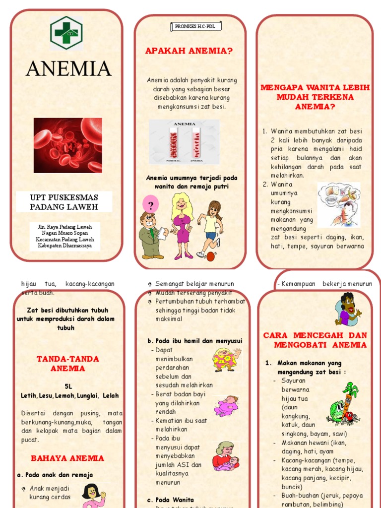 Leaflet Anemia | PDF