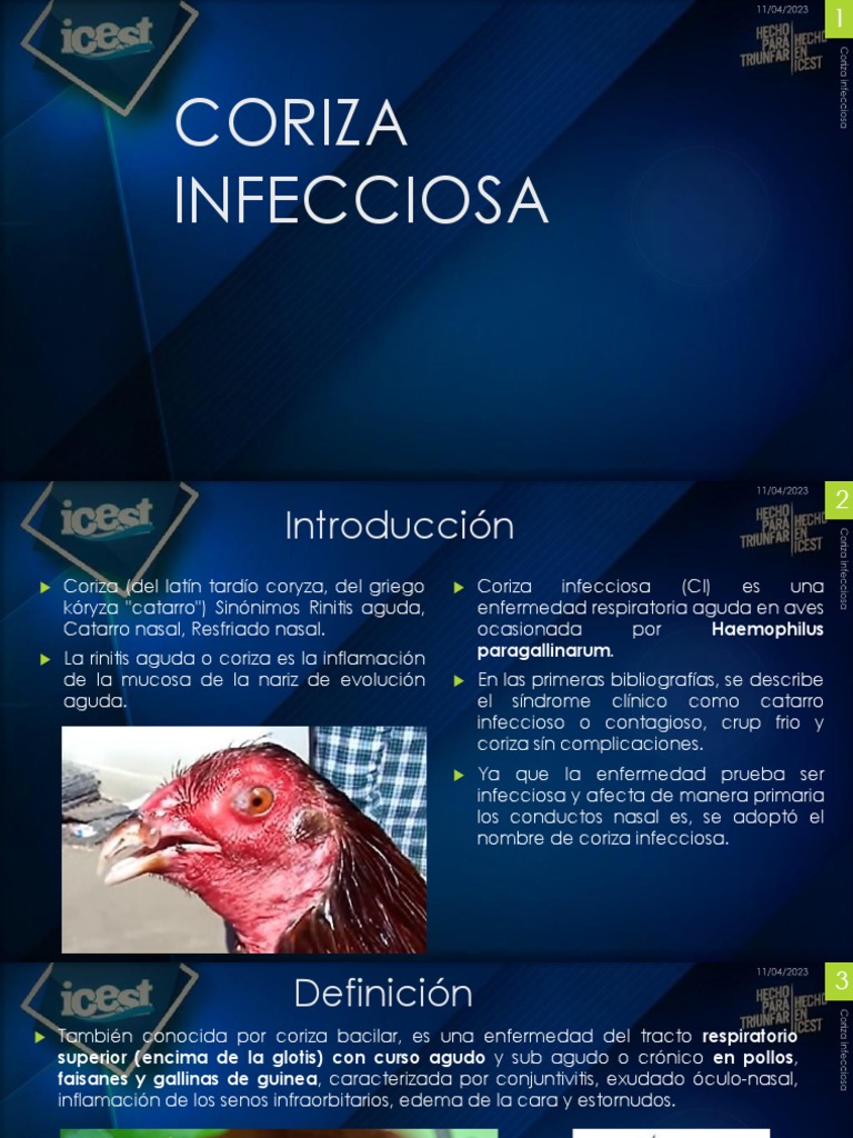 R Coriza Infecciosa DVG | PDF