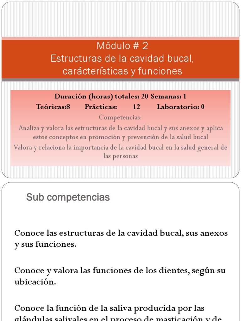 Módulo 2 Estructuras de La Cavidad Bucal y Sus Funciones | PDF | Diente | Cráneo