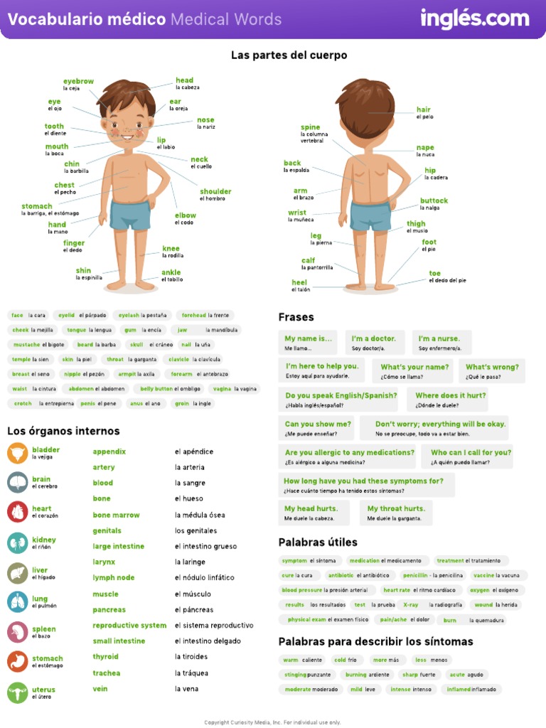 Vocabulario Médico | PDF