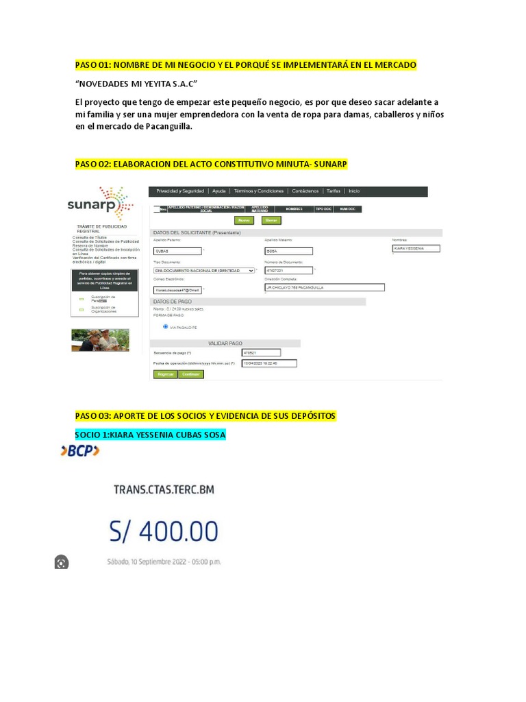 Constitución de Mi Empresa en Sunarp | PDF