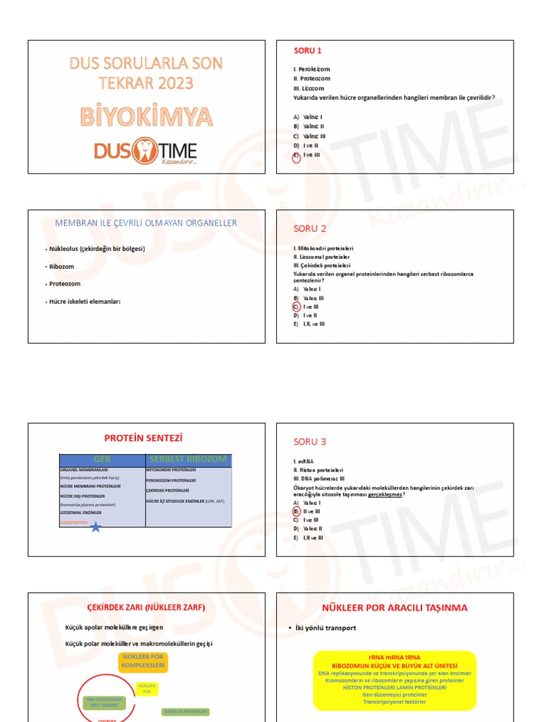 Biyokimya | PDF