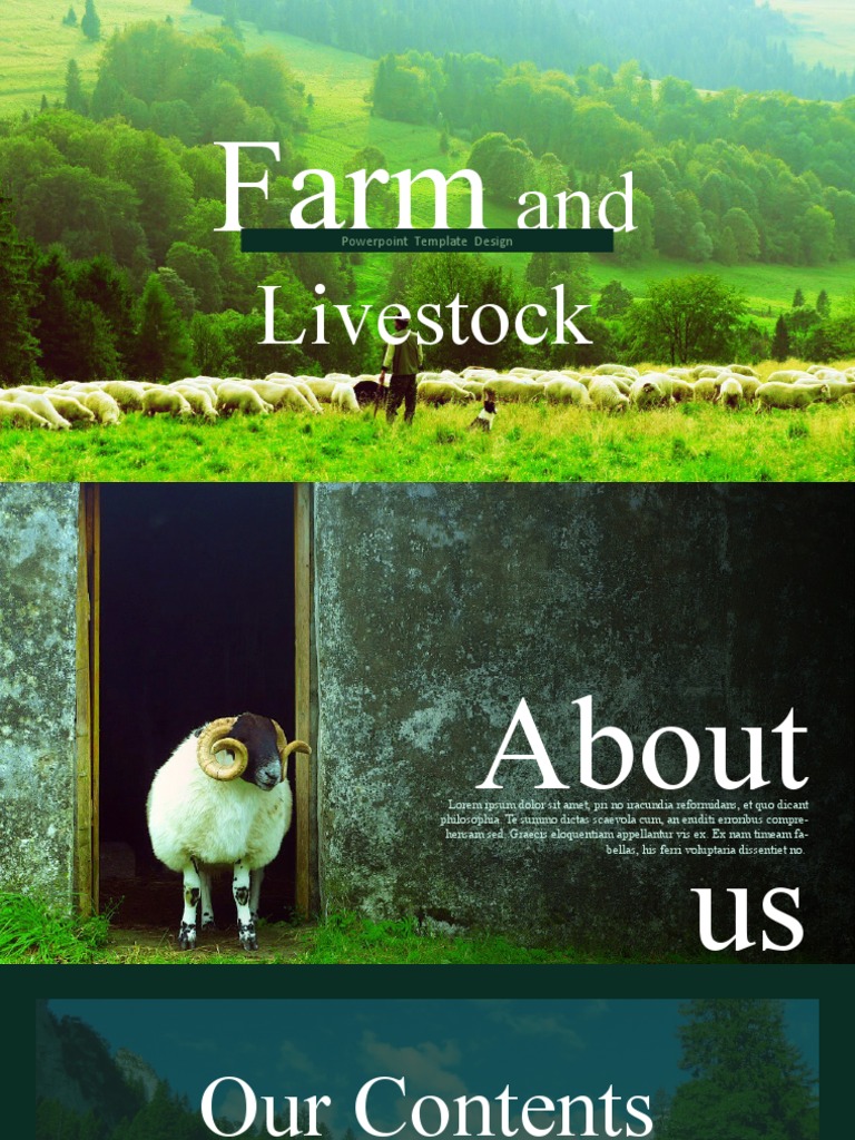 And Livestock: Powerpoint Template Design | PDF