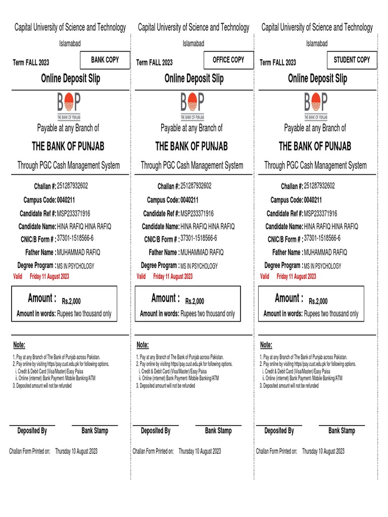 Cust Chalan | PDF | Credit Card | Banks