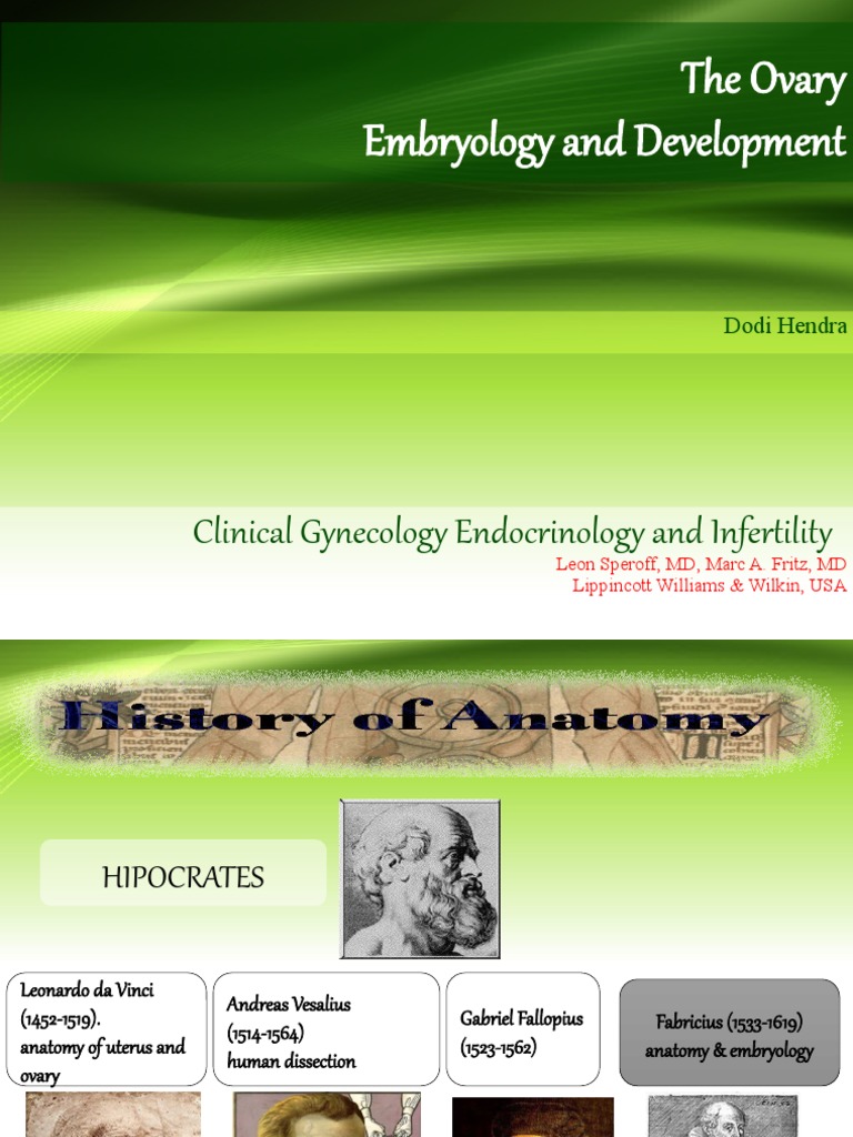 The Ovary - Embryology and Development DDH | PDF