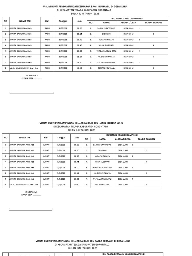 Formulir Visum Terbaru Pendampingan TPK | PDF