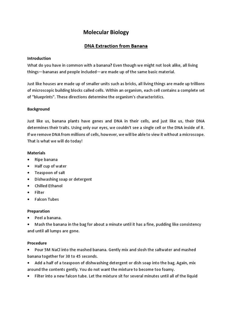 DNA Extraction and Forensic Biology | PDF | Social Science | Wellness