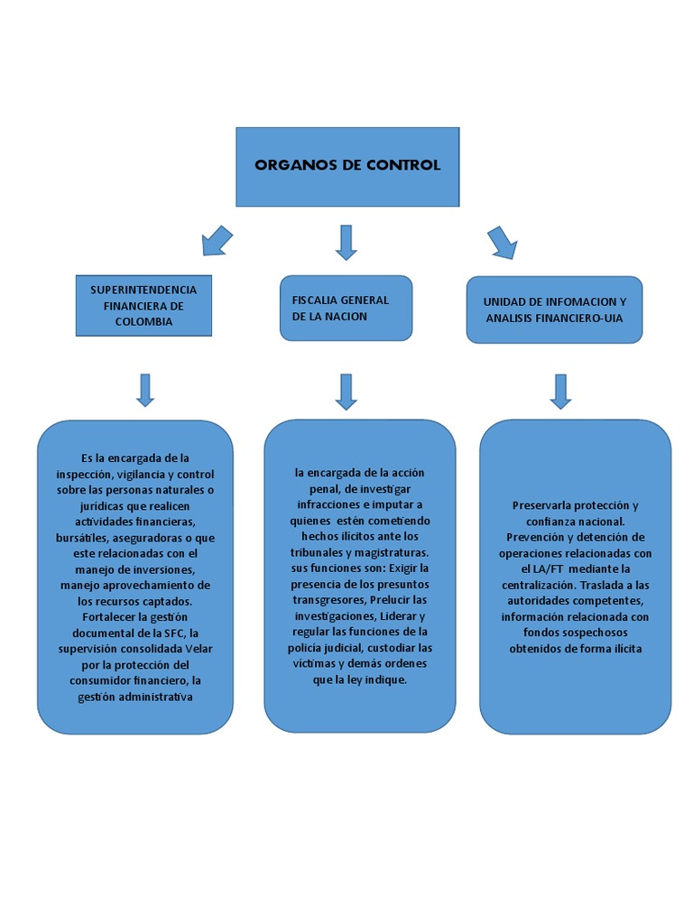 Mapa Conceptual Organos de Control | PDF