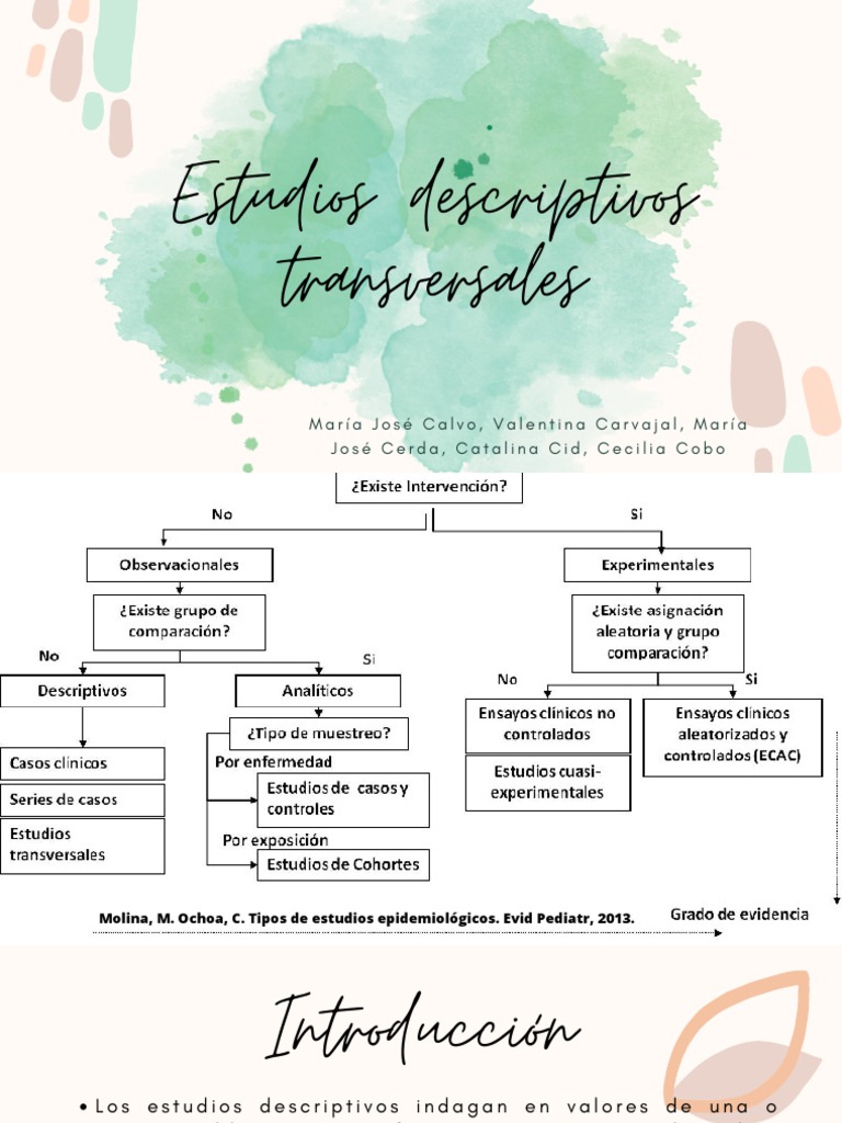 Estudios Transversales | PDF