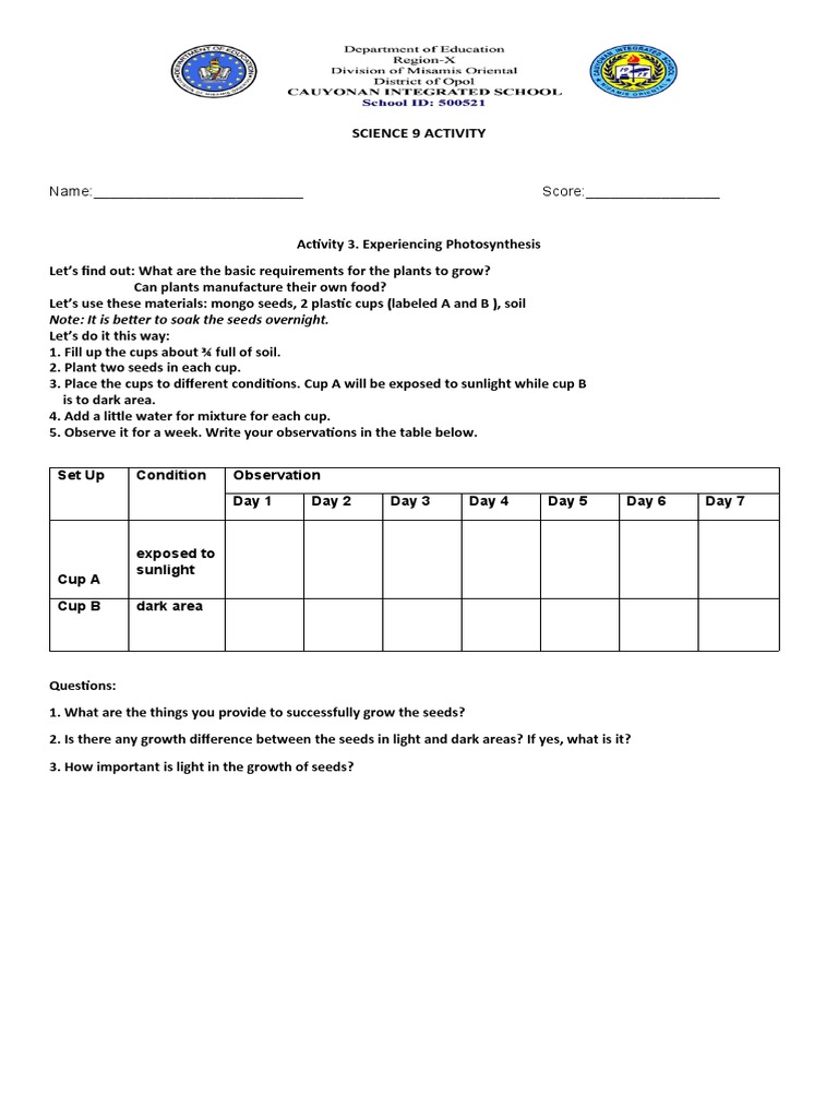 Activity Science 9 Photosynthesis | PDF