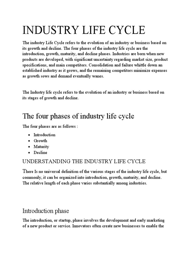 Industry Life Cycle | PDF