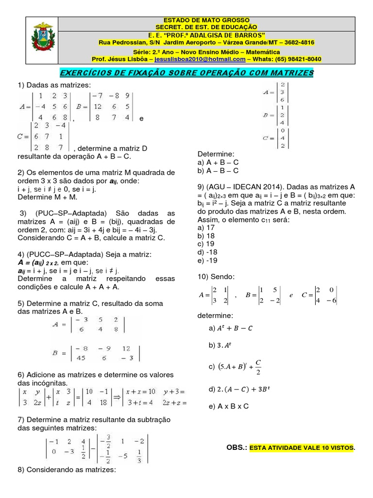 Exercícios de Matrizes para 2º Ano Ensino Médio | PDF | Matriz ...