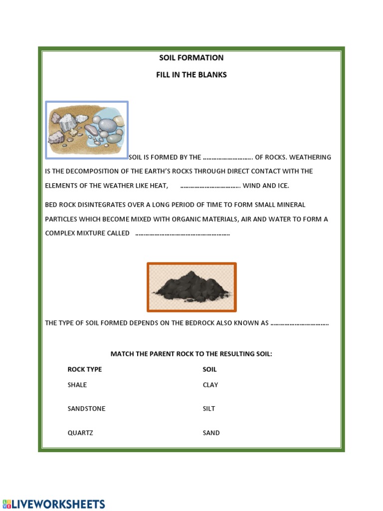 Soil Formation Worksheet and Answers | PDF | Science & Mathematics