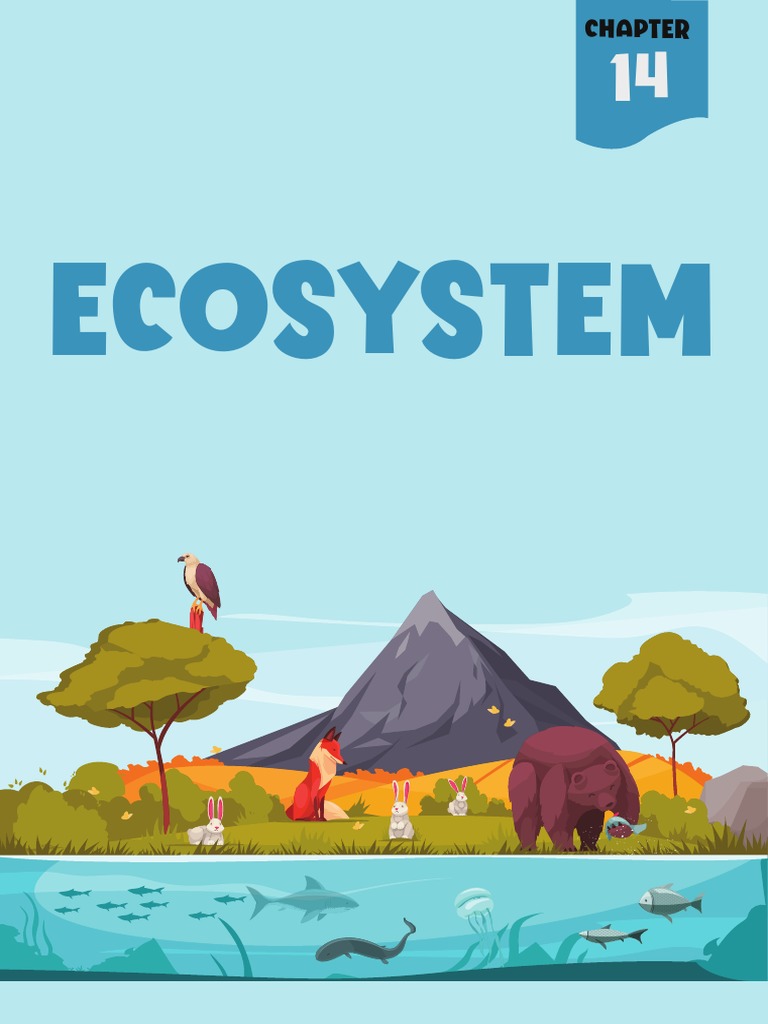 Ecosystem | PDF | Biomass (Ecology) | Ecosystem