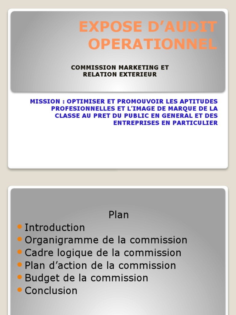 Expose D'audit Opérationnel | PDF | Économie | Économie d'entreprise