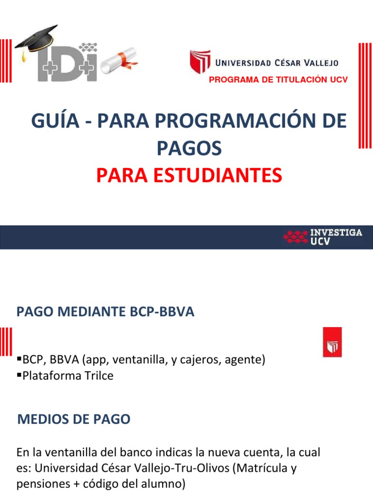 Tutorial - Programación de Pagos - 202301 | PDF