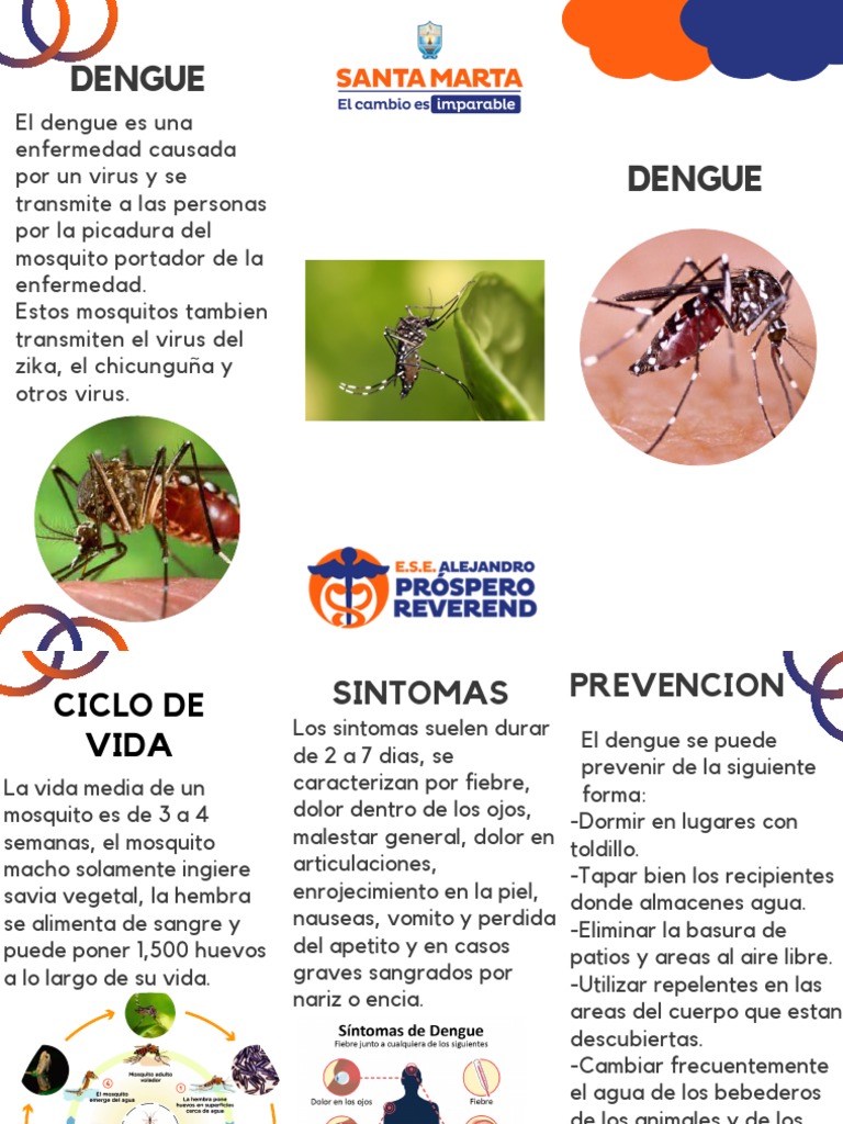 Folleto DENGUE | PDF