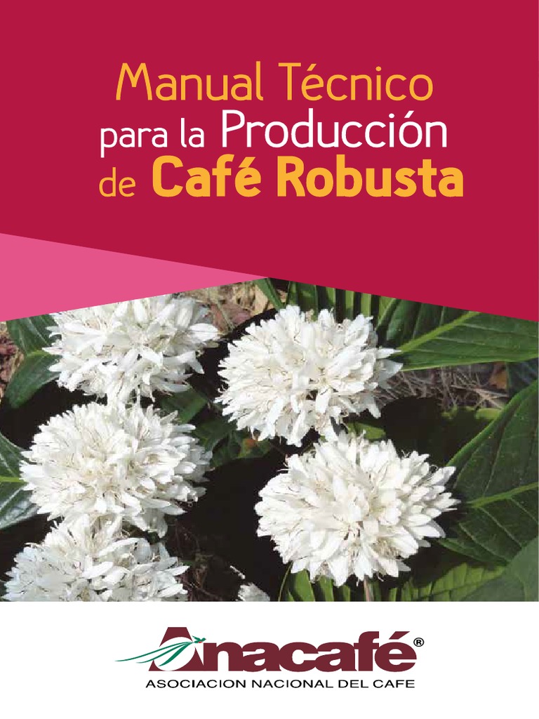 Manual de Producción de Café Robusta | PDF | Cocina, comidas y vino