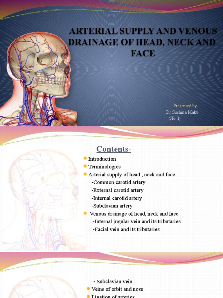Arterial and Venous Anatomy of Head and Neck | PDF | Common Carotid ...