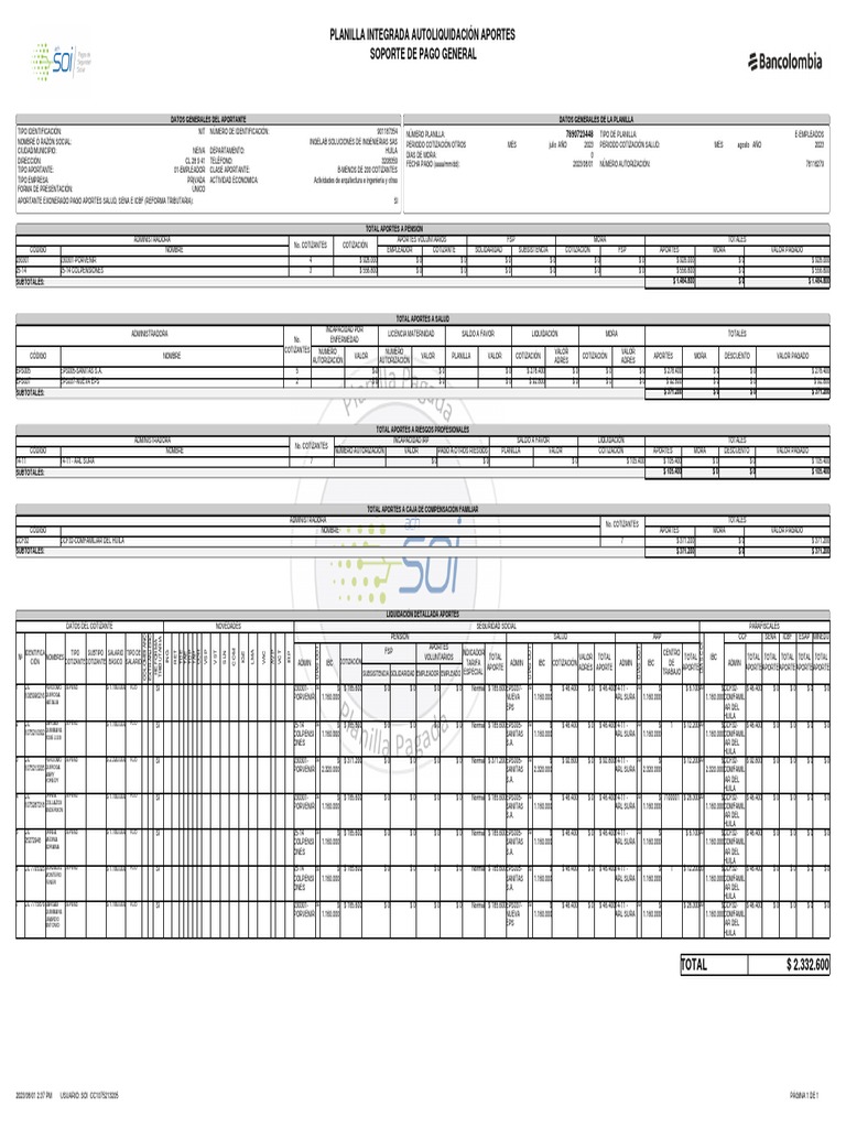 7 Detallado Planilla Seg Social Julio y Agosto 2023 | PDF