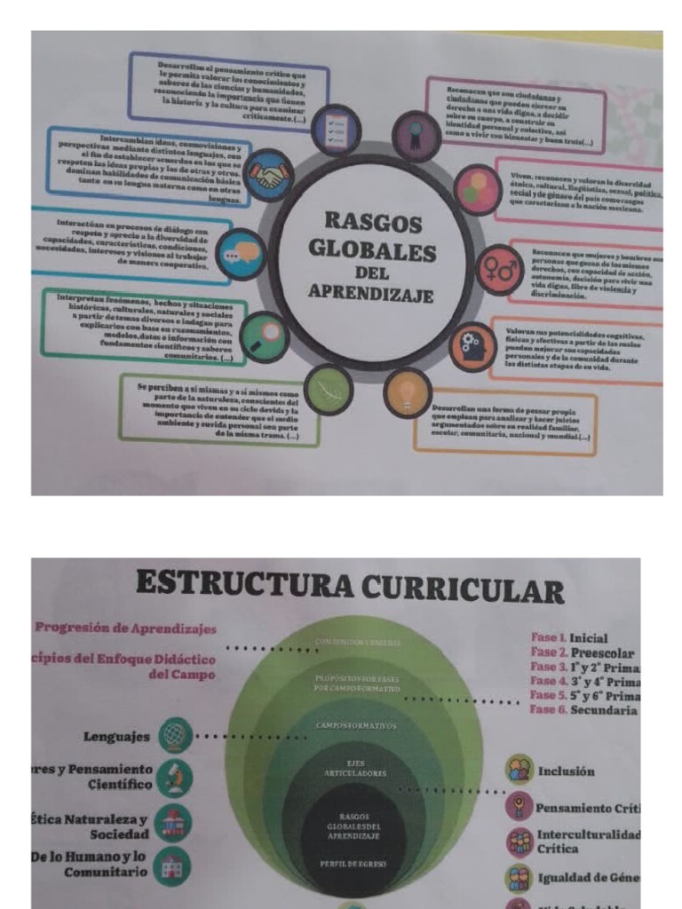 Rasgos Globales Del Aprendizaje | PDF