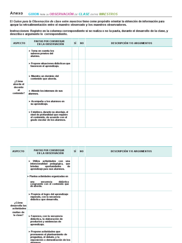 Anexo Guión de Observación | PDF