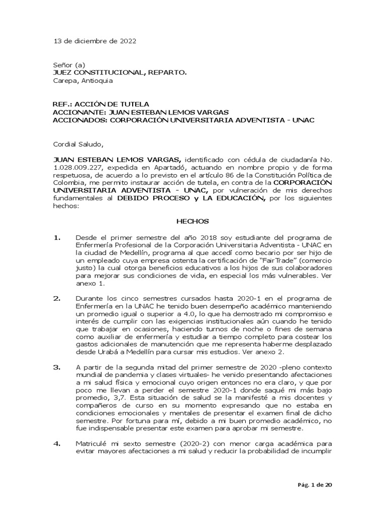 02 Escrito de Tute La | Descargar gratis PDF | Debido al proceso | Invalidez