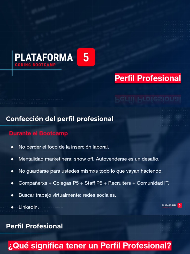 3 Perfil Profesional Y Como Empezar Pdf