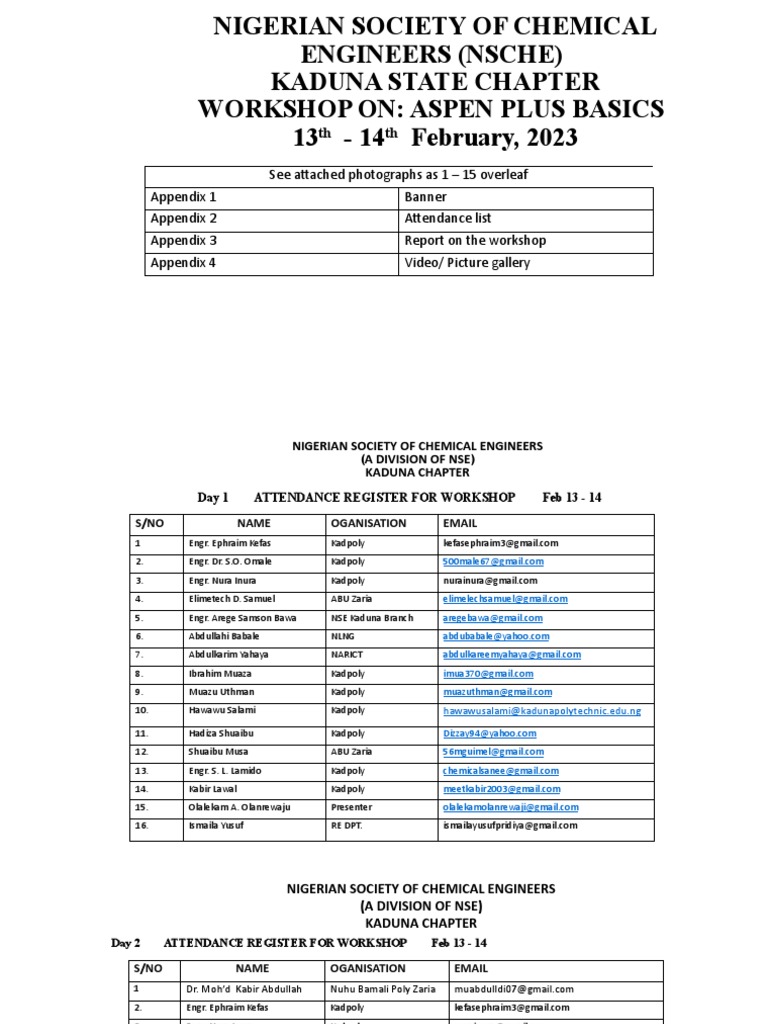 Nsche Workshop Reports | PDF