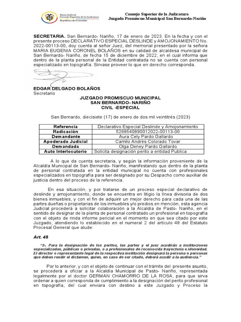 Designación de Perito en Topografía | PDF