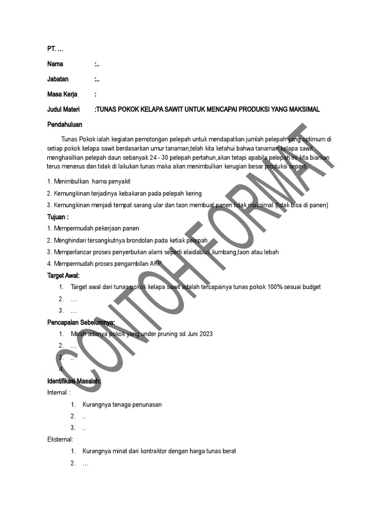 Contoh Format PICA | PDF