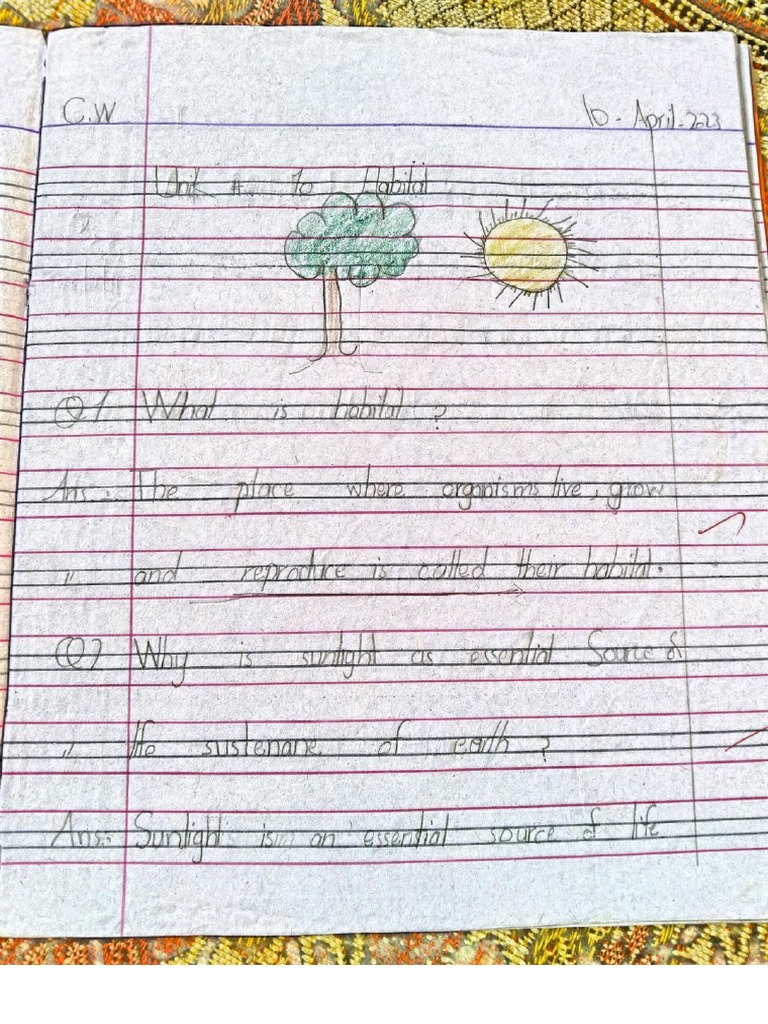 Grade 3rd Science | PDF