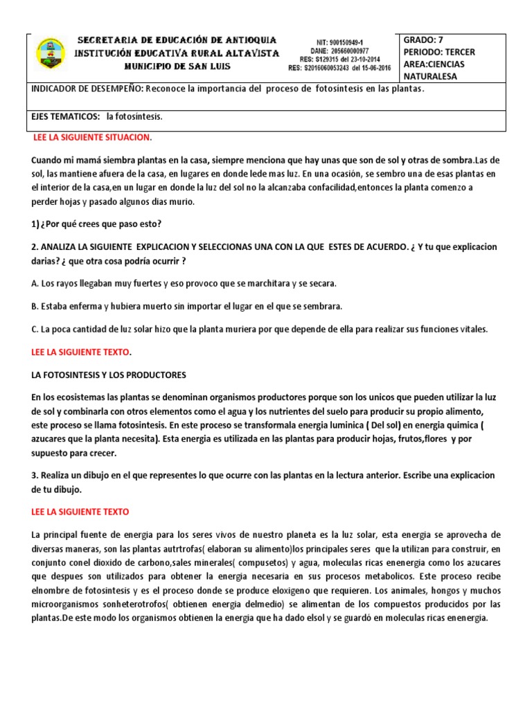 Guia # 7 Grado 7° Fotosintesis | PDF | Plantas | Fotosíntesis