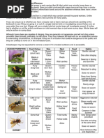 The Schmidt Insect Sting Pain Index | PDF | Zoology | Insects And Humans