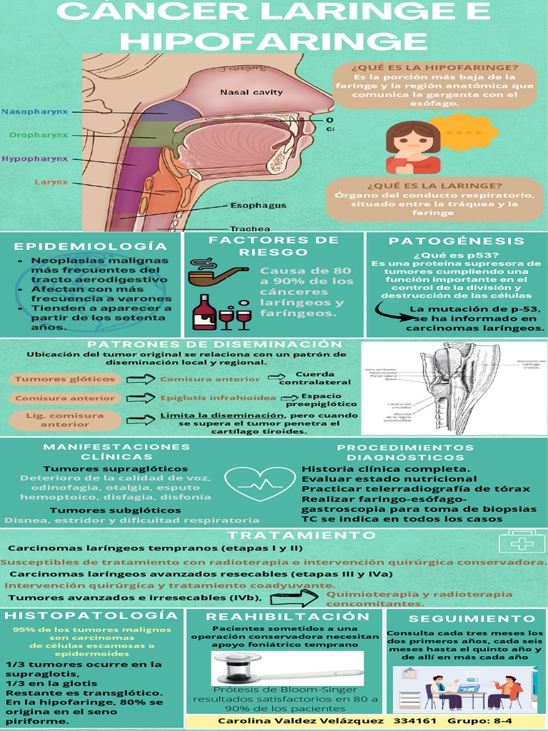 Infografía Cáncer de Laringe e Hipofaringe | PDF | Cáncer | Laringe
