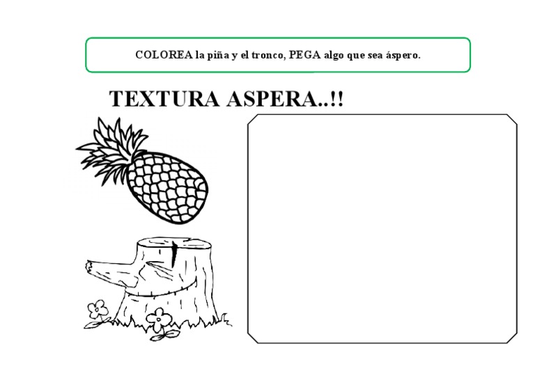 Textura Aspera para Ninos de 2 Anos | PDF